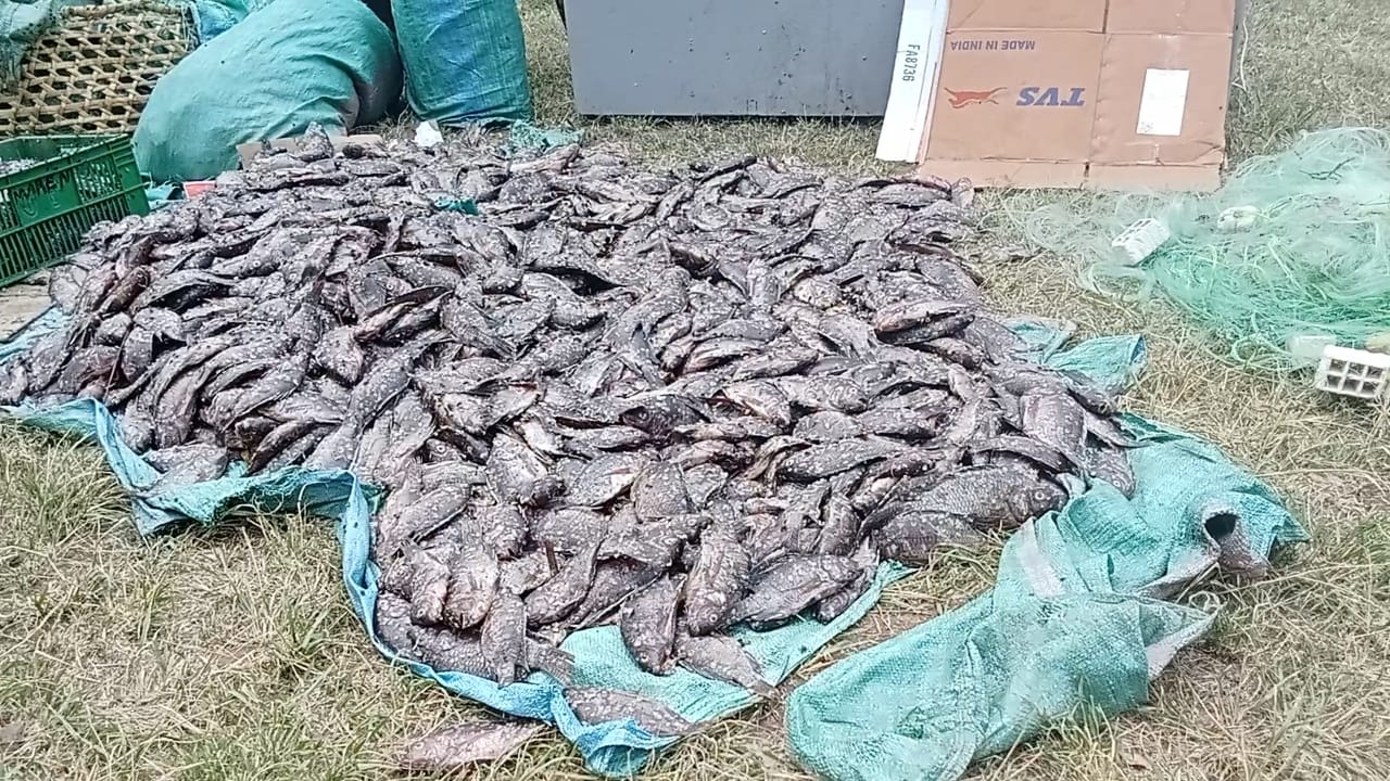 Lake Nakuru fish finds its way to Gikomba market, County official reveals