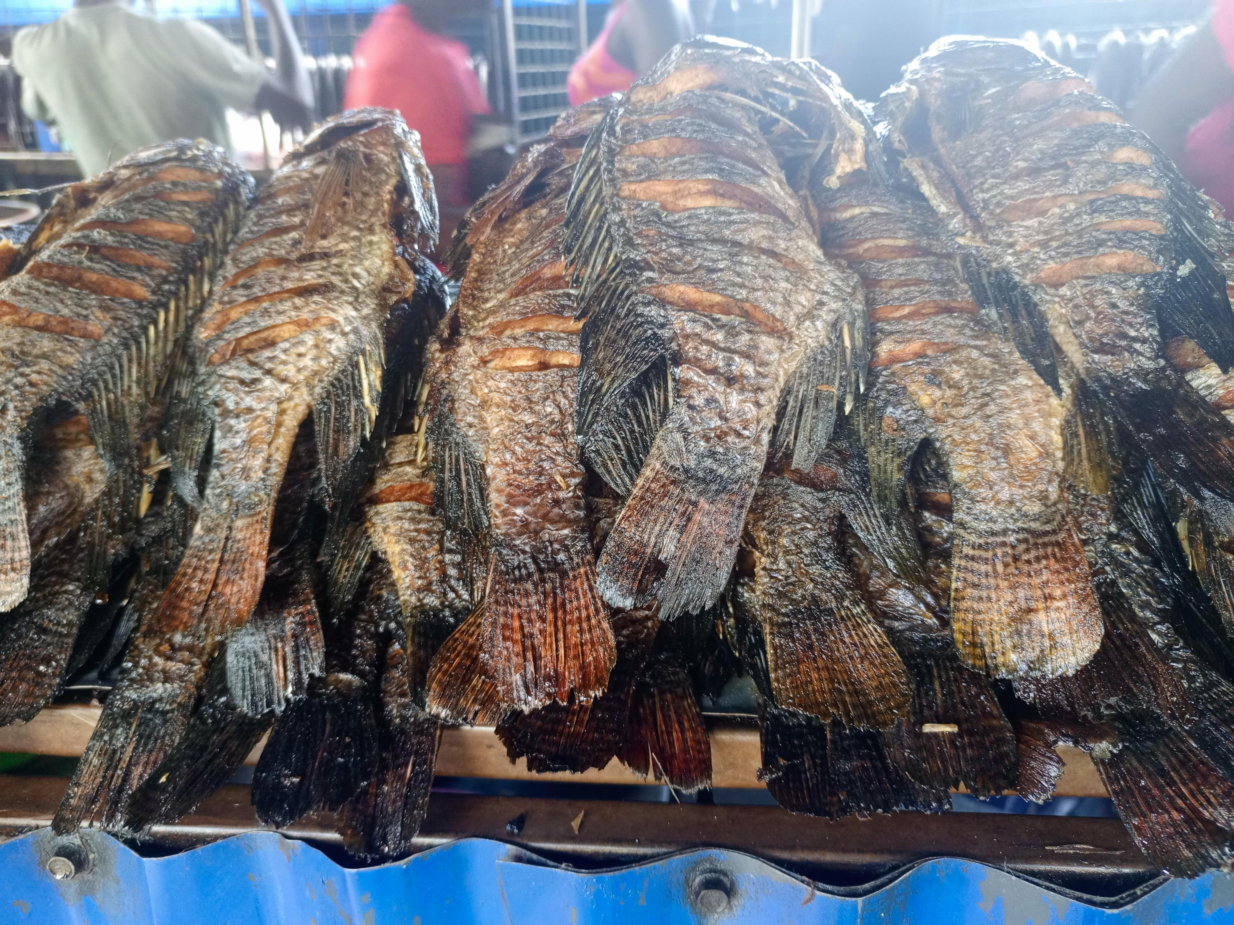 Nakuru fish vendors battle bad PR after reports of poisonous Lake ...