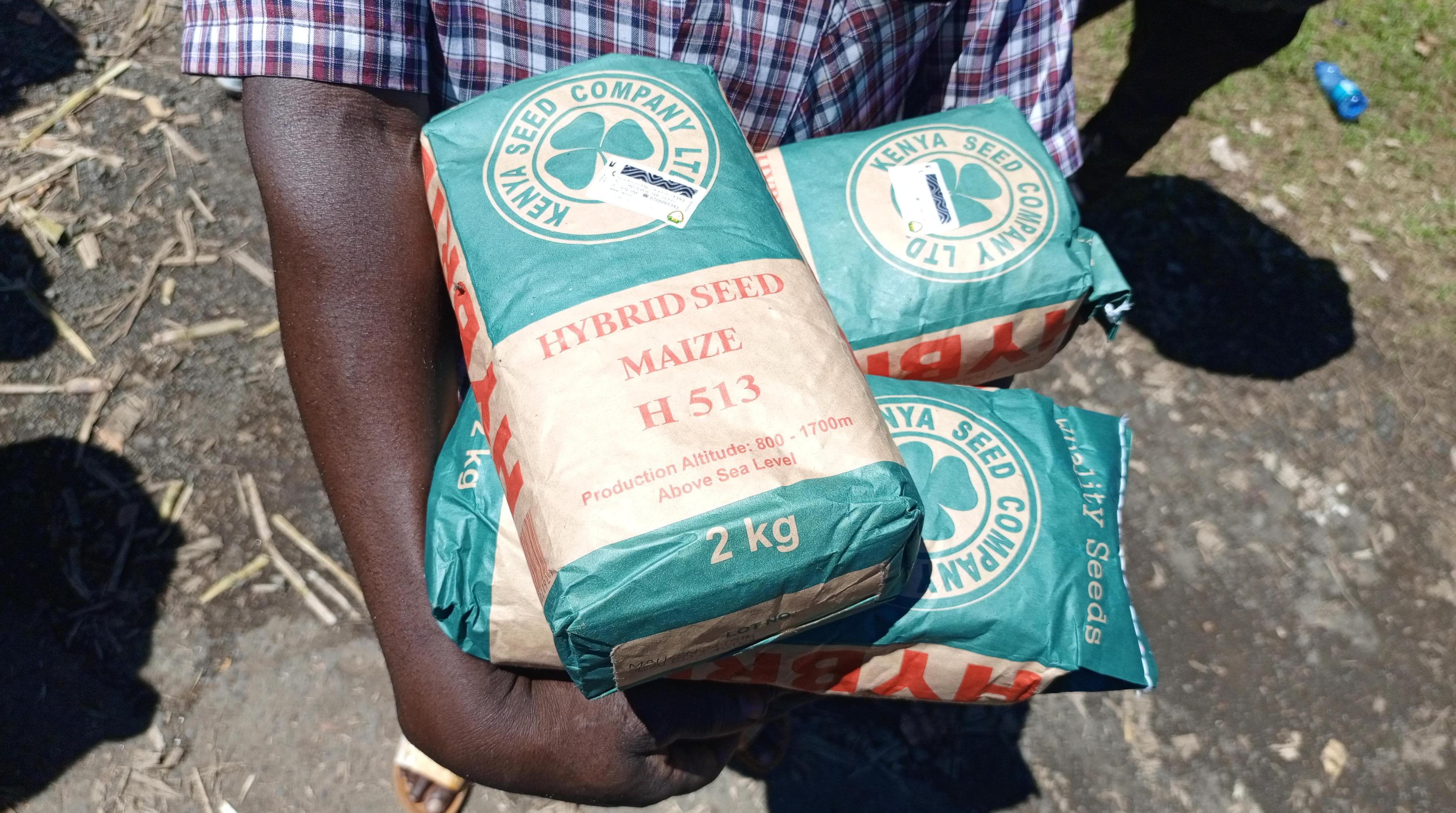 Psst … farmers! Here are other maize seed varieties apart from the ...